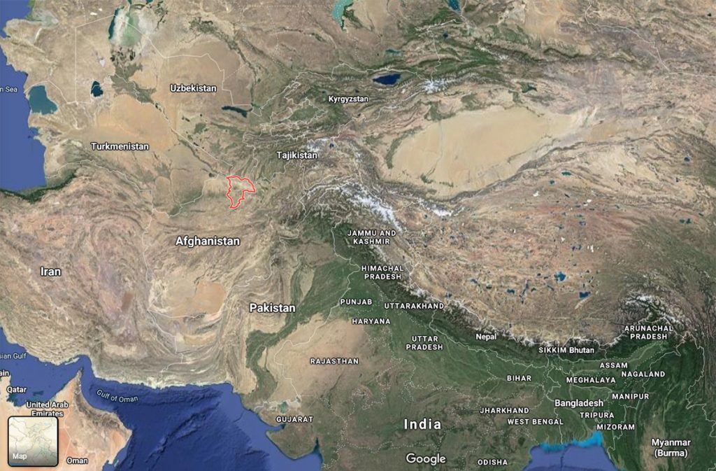 The Vedic People of Bactria