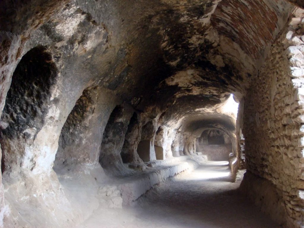 The Vedic People of Bactria