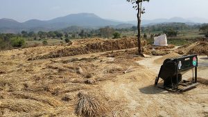 The Rice Harvest at Dayalu Baba's Ashram