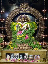 Pictures of Sri Panchamukha Hanuman