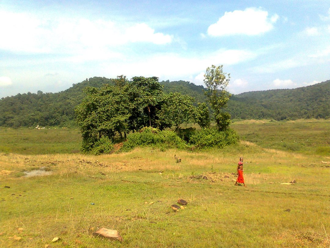 Vishwanatha Baba's Warning from the Assembly of Sadhus