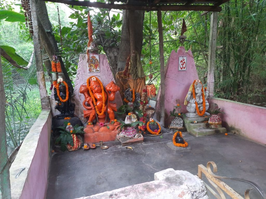 A Small Follow Up on My Visit to Nityananda Baba