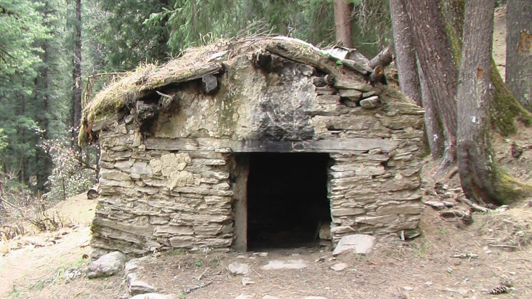 The Ancient Prophecy of Shankaracharya About Joshimath and the Self ...