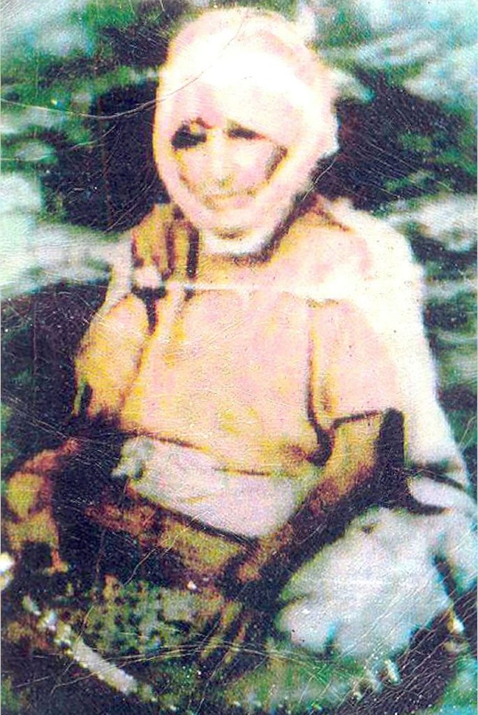 The Ancient Prophecy of Shankaracharya About Joshimath and the Self ...